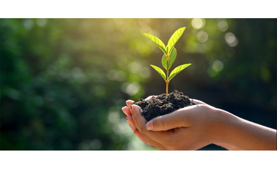 Exploring a High-Performance, Bio-Based Feedstock for Adhesives and ...