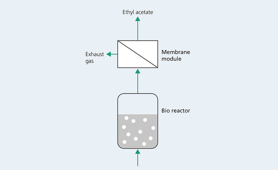 Creating Green Adhesives from Whey | Adhesives & Sealants Industry