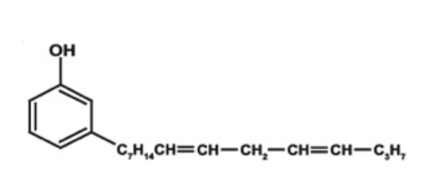 Renewable, Cashew Nutshell Liquid-Based Polyols: Their Benefits in CASE ...